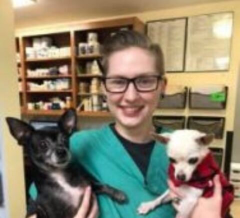 Veterinarian in Newport, OR 97365 | Grove Veterinary Clinic